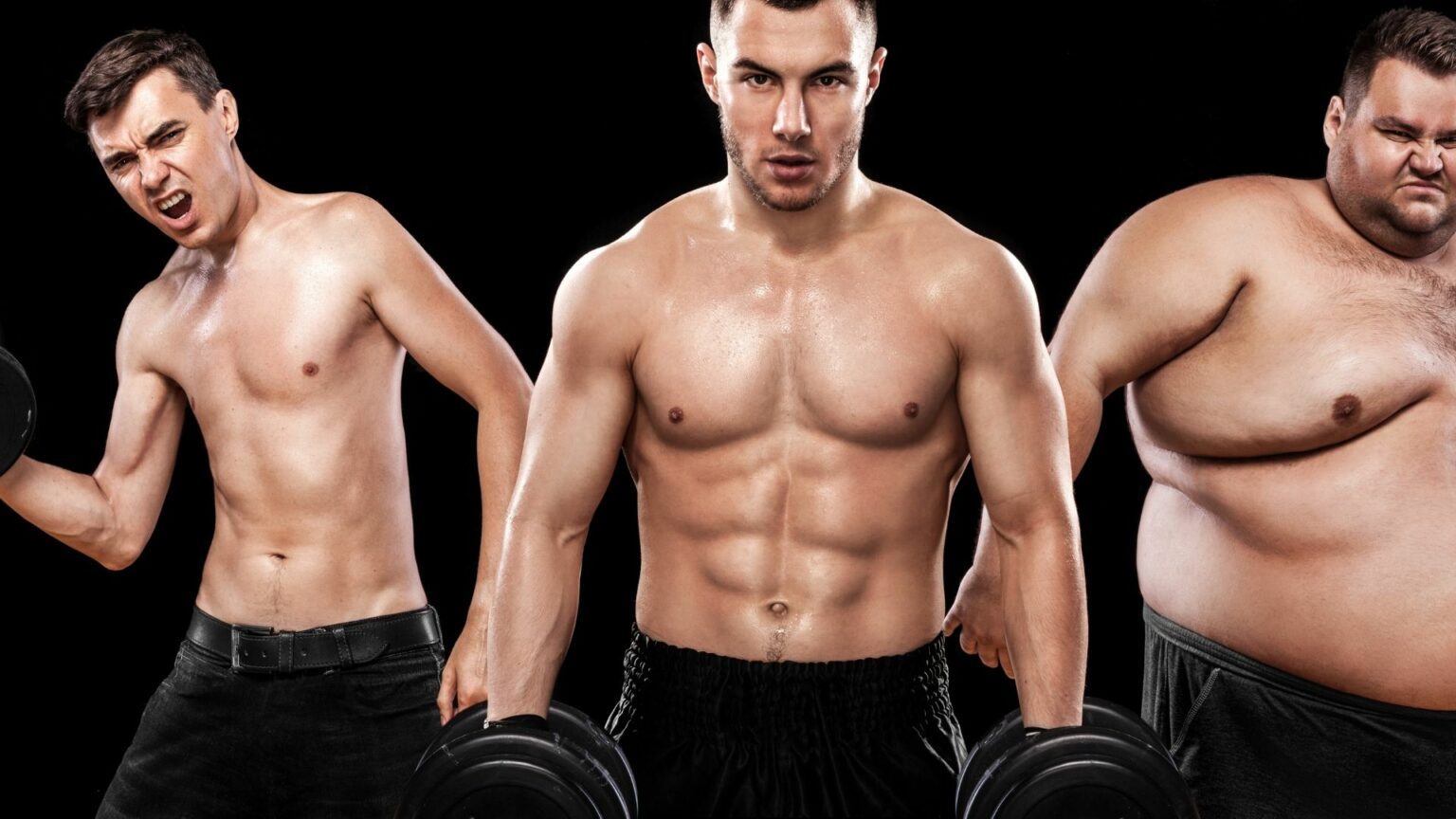 Muscle growth - how fast does it really go? - Lifetimefit